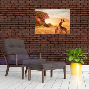 Skleněný obraz - Žirafy v Africe (70x50 cm)