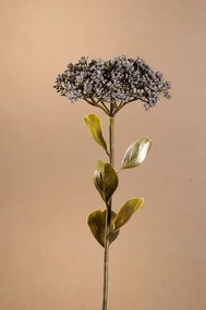 Paramit DRY FULL BLOOM SEDUM Aranžovací květina modrá 46 cm