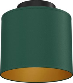 Stropní svítidlo ARDEN 1xE27/15W/230V pr. 18 cm zelená