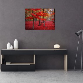 Skleněný obraz - Červený les (70x50 cm)