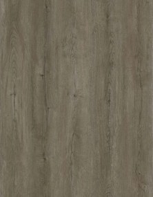Oneflor, AKCE: Vinylová podlaha lepená ECO 30 067 Manor Oak Natural - dub, 1219,2 x 185 mm