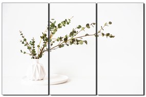 Obraz na plátně - Větev eukalyptu v bílé váze na bílém pozadí 1272B (135x90 cm)