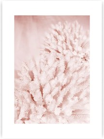 Plakát Pastel Pink II
