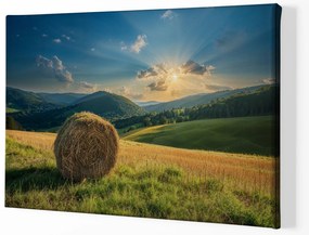 Obraz na plátně - Zapomenutý balík sena u pole FeelHappy.cz Velikost obrazu (šířka x výška): 120 x 80 cm