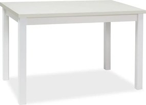 Casarredo - Komfort nábytek Jídelní stůl ADAM 100x60, bílá mat