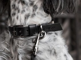 Kožený obojek pro psa Labbvenn Kollu černý Velikost: XL - 49 - 57 cm