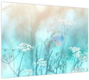Obraz - Motýlek v modrém (70x50 cm)