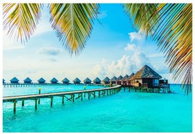 Fototapeta Tropické Maledivy 104x70