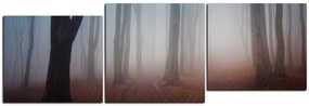 Obraz na plátně - Mlha v lese - panoráma 5182E (150x50 cm)