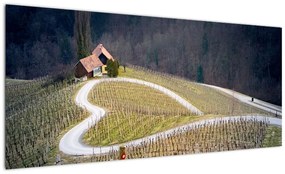 Cesta ve vinici ve tvaru srdce (100x40cm)