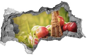 Wallmuralia Nálepka 3D díra na zeď Jablka v košíku 95x73 cm