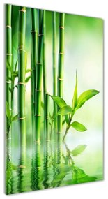 Wallmuralia Vertikální Fotoobraz na skle Bambus ve vodě 50x100