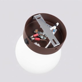 Sollux Lighting Nástěnné svítidlo YOLI 1 hnědé s vypínačem