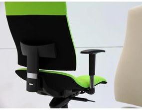 Zdravotní židle Steel Standard+ / bílá