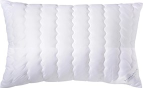 XXXLutz POLŠTÁŘ POD HLAVU, 40/80 cm Billerbeck - Polštáře pod hlavu - 003279053502