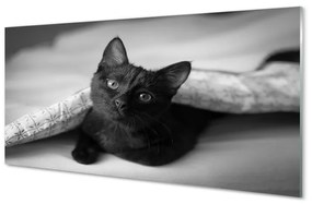 akrylový obraz Kočka pod přikrývkou 140x70 cm