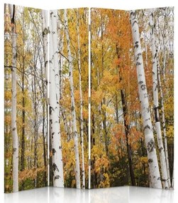Ozdobný paraván, Březový les na podzim - 145x170 cm, čtyřdílný, obustranný paraván 360°