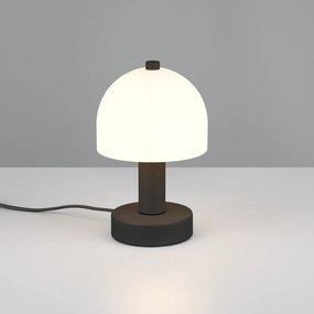 Černo-bílá stolní lampa se skleněným stínidlem (výška 19 cm) Glenn – Reality