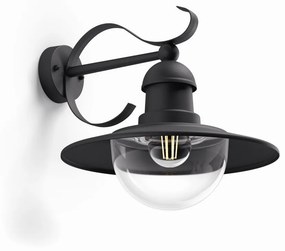 Venkovní nástěnná lampa Philips Topiary 01816/30/PN
