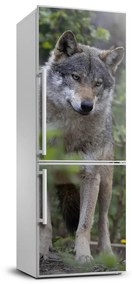 Wallmuralia Samolepící nálepka na ledničku Vlk v lese 60x180 cm