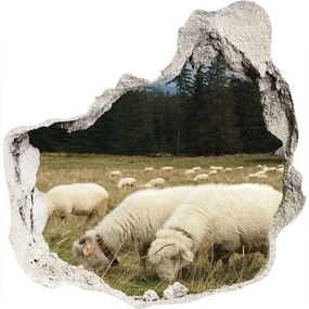 Wallmuralia Díra 3D fototapeta nálepka Pasící se ovce 75x75 cm