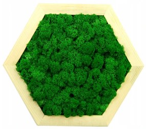 OznTo Obraz šestiúhelník s mechem průměr 39,5cm zelený