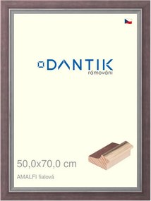 DANTIK rámeček 50x70 | AMALFI fialová (Plexi Čiré)