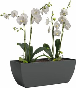 Truhlík z recyklovaného plastu 30 cm Siena – Artevasi