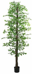 Umělá rostlina Ficus 2016 Listy 300 cm Zelená
