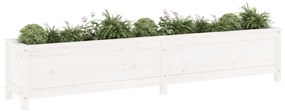 Zahradní vyvýšený záhon bílý 199,5x40x39 cm masivní borovice