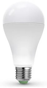 Brilum | LED Žárovka LEDSTAR ECO A65 E27/20W/230V 4000K | B3427