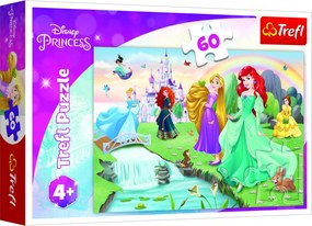 Trefl Puzzle Poznejte princezny 33x22cm 60 dílků v krabičce 21x14x4cm