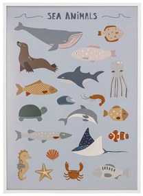 Bloomingville Plakát v bílém rámu Cay mořští živočichové 72x52 cm