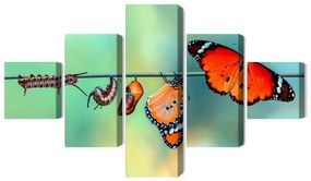 Vícedílný obraz Barevné Housenky A Motýli V Makro Měřítku Nedostatek Nedostatek Plátno Canvas 150x90