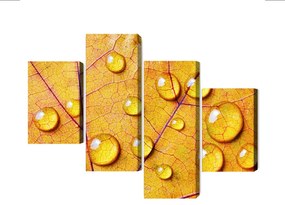 Vícedílný obraz Kapky Vody Na Podzimní Listí Makro Nedostatek Nedostatek Plátno Canvas 120x75