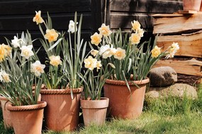 Malý květináč Emilia s podstavcem 25 cm růžový