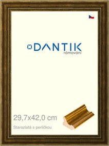 DANTIK rámeček 29,7x42 | Starozlatá s perličkou (Plexi Čiré)