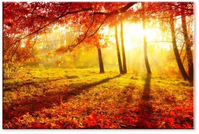 Obraz podzimní krajina Velikost (šířka x výška): 90x60 cm