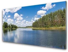 Plexisklo-obraz Jezero Les Krajina 100x50 cm