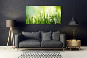 akrylový obraz Tráva Příroda 120x60 cm