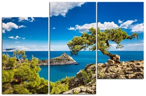 Obraz na plátně - Borovice na útesu 149D (105x70 cm)