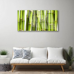 Obraz na skle Bambus Rostlina Příroda 125x50 cm