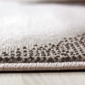 Ayyildiz, Kusový koberec Plus 8008 brown, 80x300, hnědá, chodba / předsíň