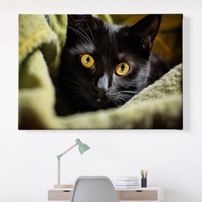 Obraz na plátně - Najdi kočku, černá kočka v zelené dece FeelHappy.cz Velikost obrazu: 40 x 30 cm