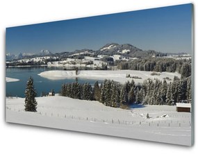 Plexisklo-obraz Jezero Sníh Krajina Hory 100x50 cm