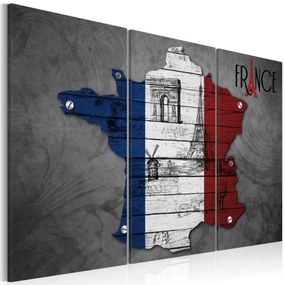 Obraz - Symbols of France - triptych