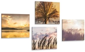 Set obrazů přírodní krásy - 4x 40x40 cm
