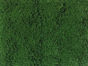 Moss dark green 2, dílec 50 x 50 cm