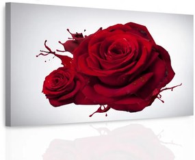 Obraz rudá růže Velikost (šířka x výška): 120x80 cm