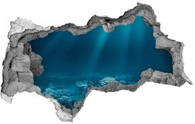 Wallmuralia Nálepka fototapeta 3D na zeď Podvodní svět 95x73 cm